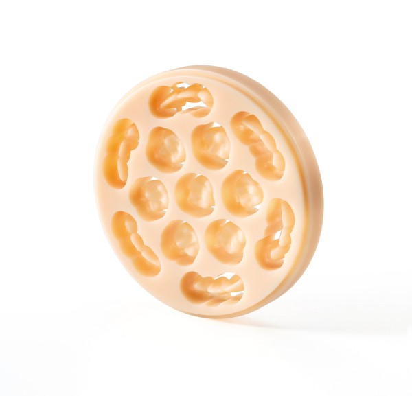 PMMA Telio CAD LT 98.5 16mm/1 Ivoclar Digital, Ecodent | Екодент, PMMA,